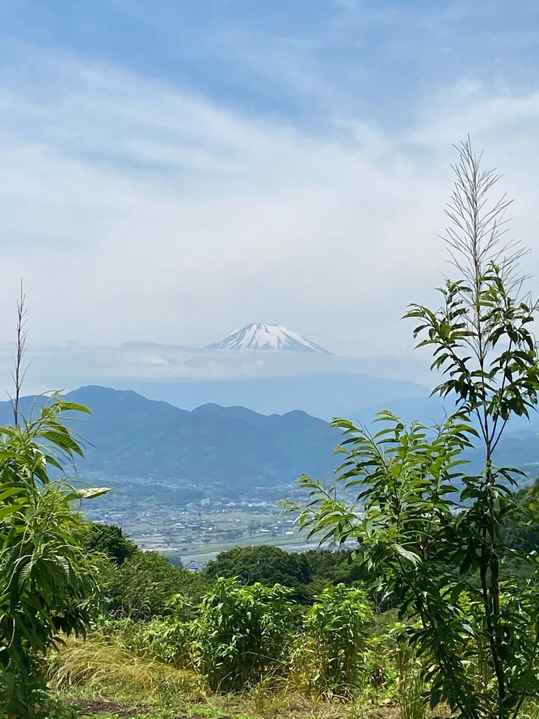 神山ウォーキング-2024-05-22 / goqooさんのウォーキングの活動データ | YAMAP / ヤマップ