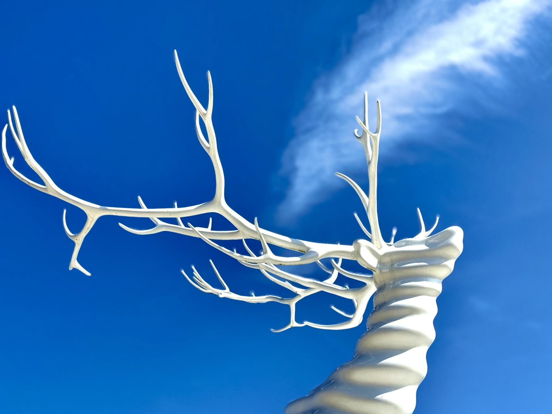 14年目の3.11の日 硯上山から祈る / ischanさんの石投山・硯上山・羽黒山の活動データ | YAMAP / ヤマップ