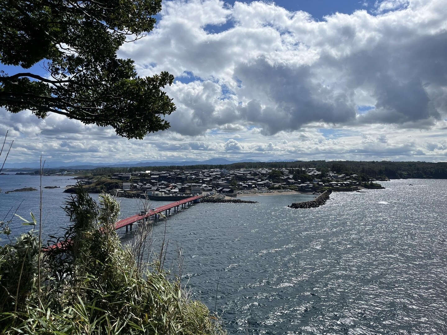 雄島 / kateさんの坂井市の活動データ | YAMAP / ヤマップ