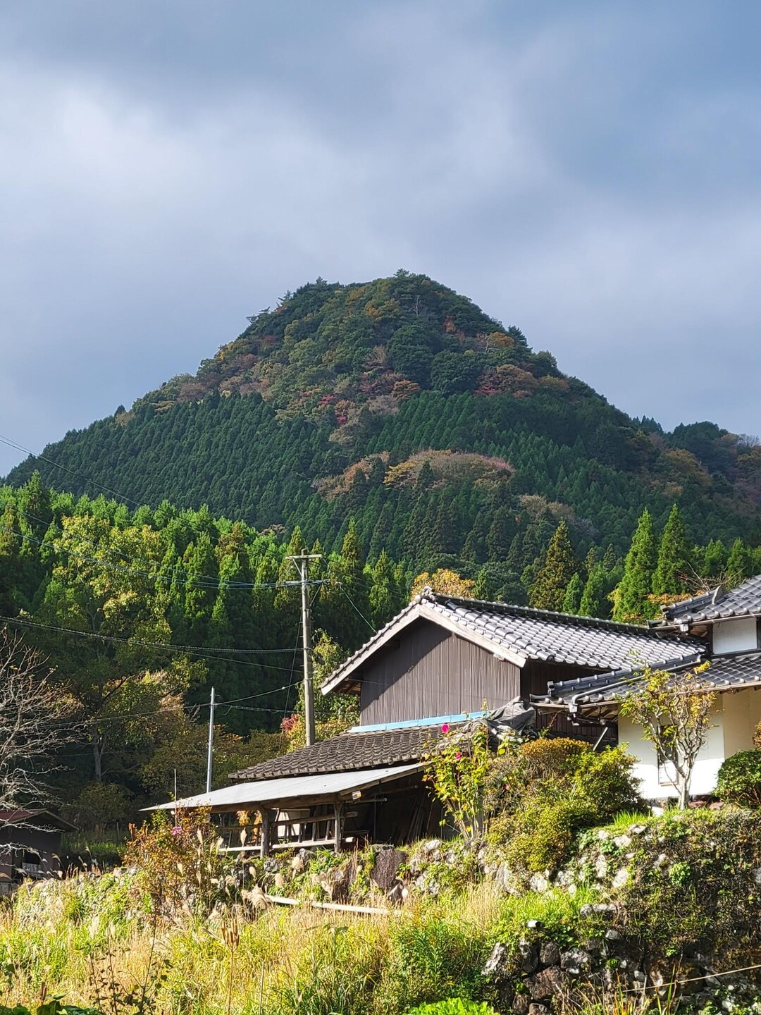 中摩殿畑山&仙人梁 / Kyonkyonさんの中摩殿畑山・釣鐘山の活動データ | YAMAP / ヤマップ