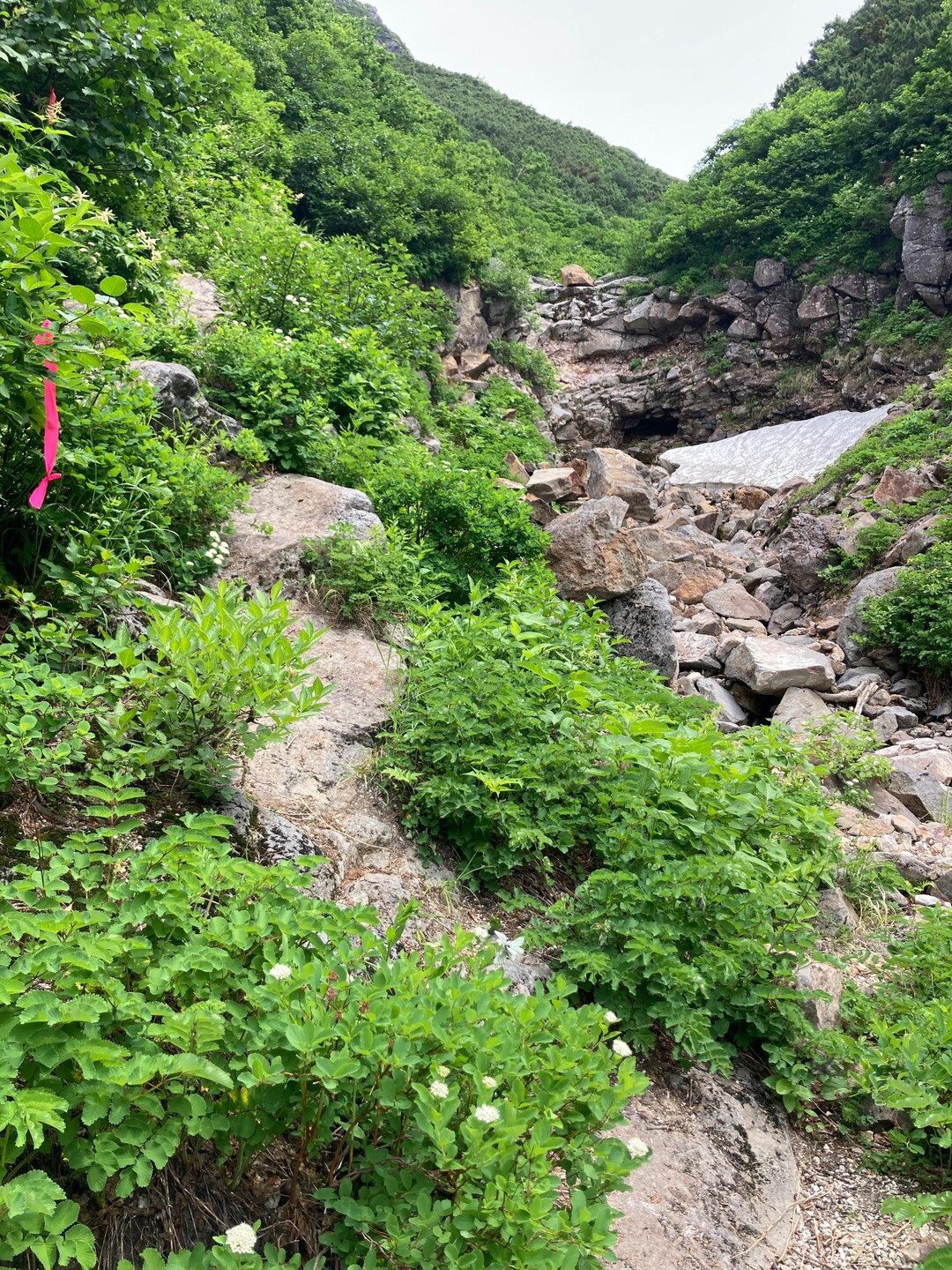 Machikoさんの投稿したフィールドメモ | YAMAP / ヤマップ