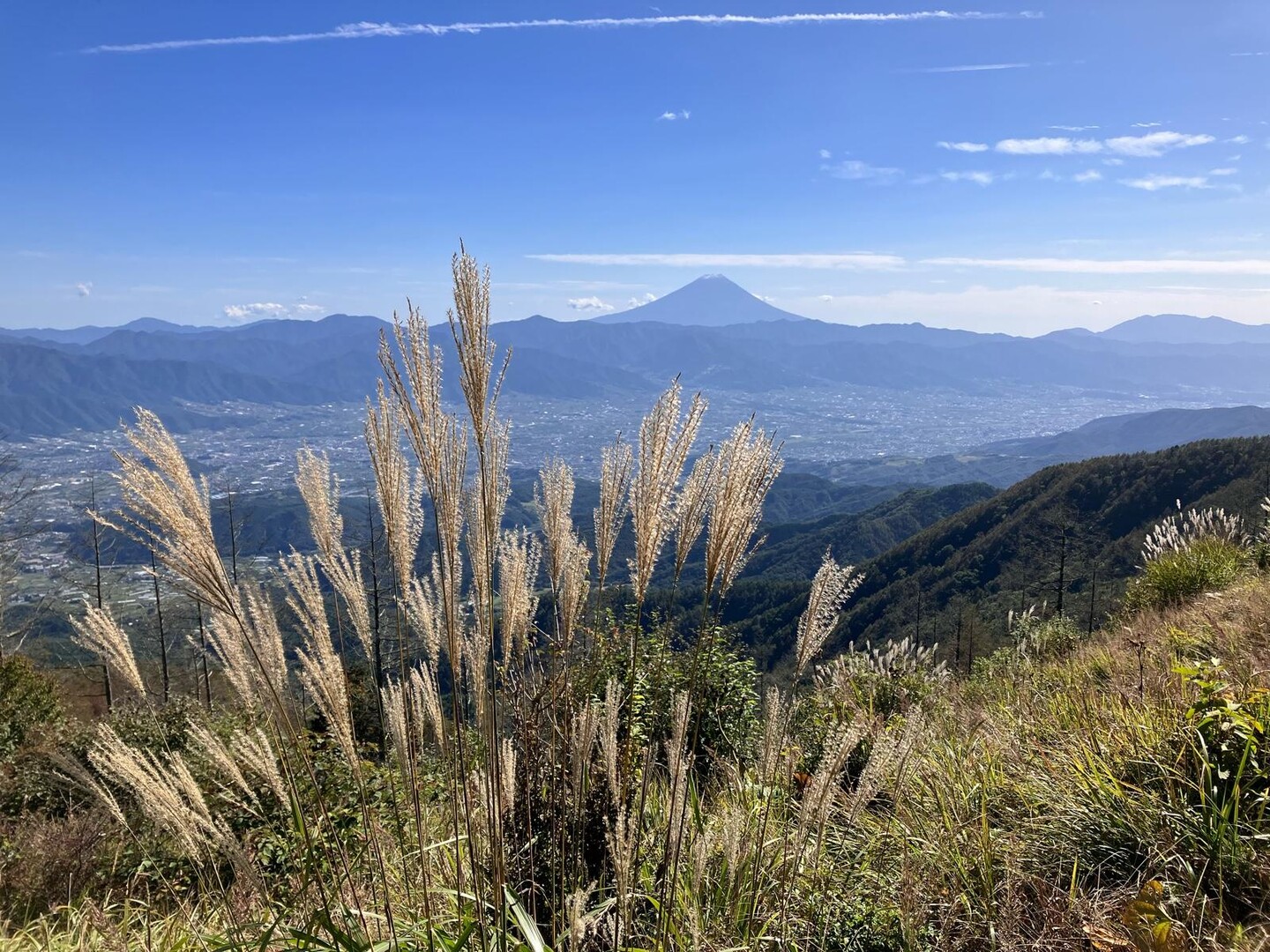 小楢山～ポカポカ陽気でのんびり幸せ / mockyさんの小楢山・妙見山・乙女高原の活動データ | YAMAP / ヤマップ