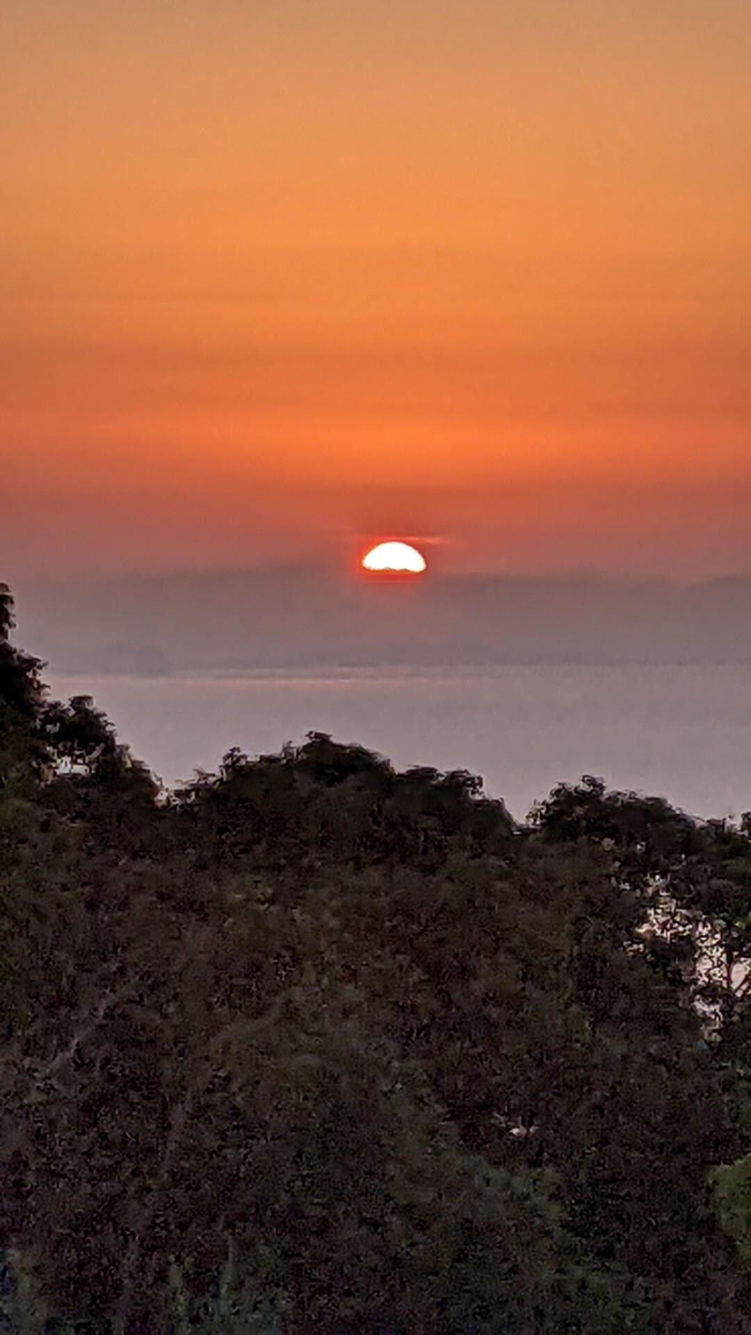 今朝の日の出🌄と昨夜の猫🌃 / by hideさんのモーメント | YAMAP / ヤマップ