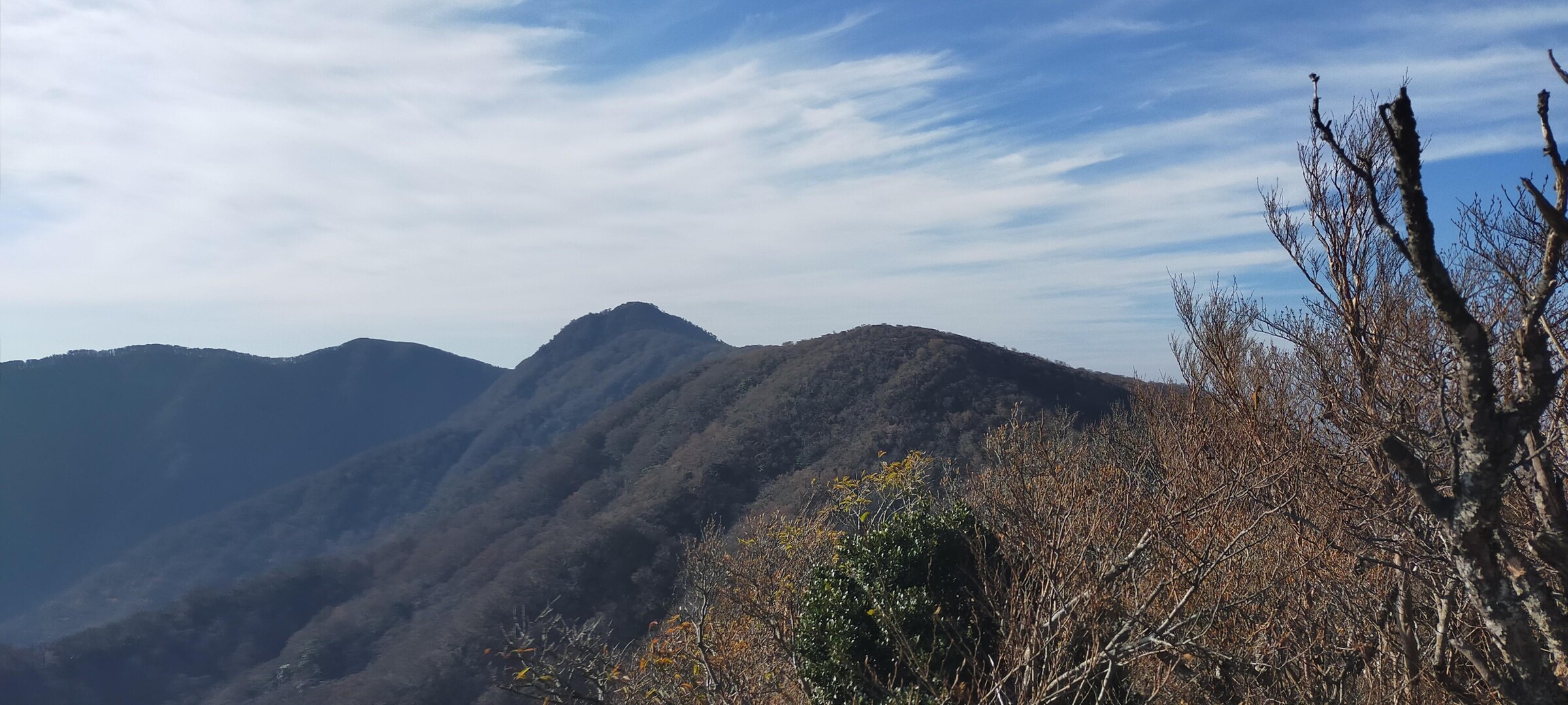 万三郎岳（天城山）・万二郎岳（天城山） / まさパパさんの天城山・鉢ノ山・三筋山の活動データ | YAMAP / ヤマップ