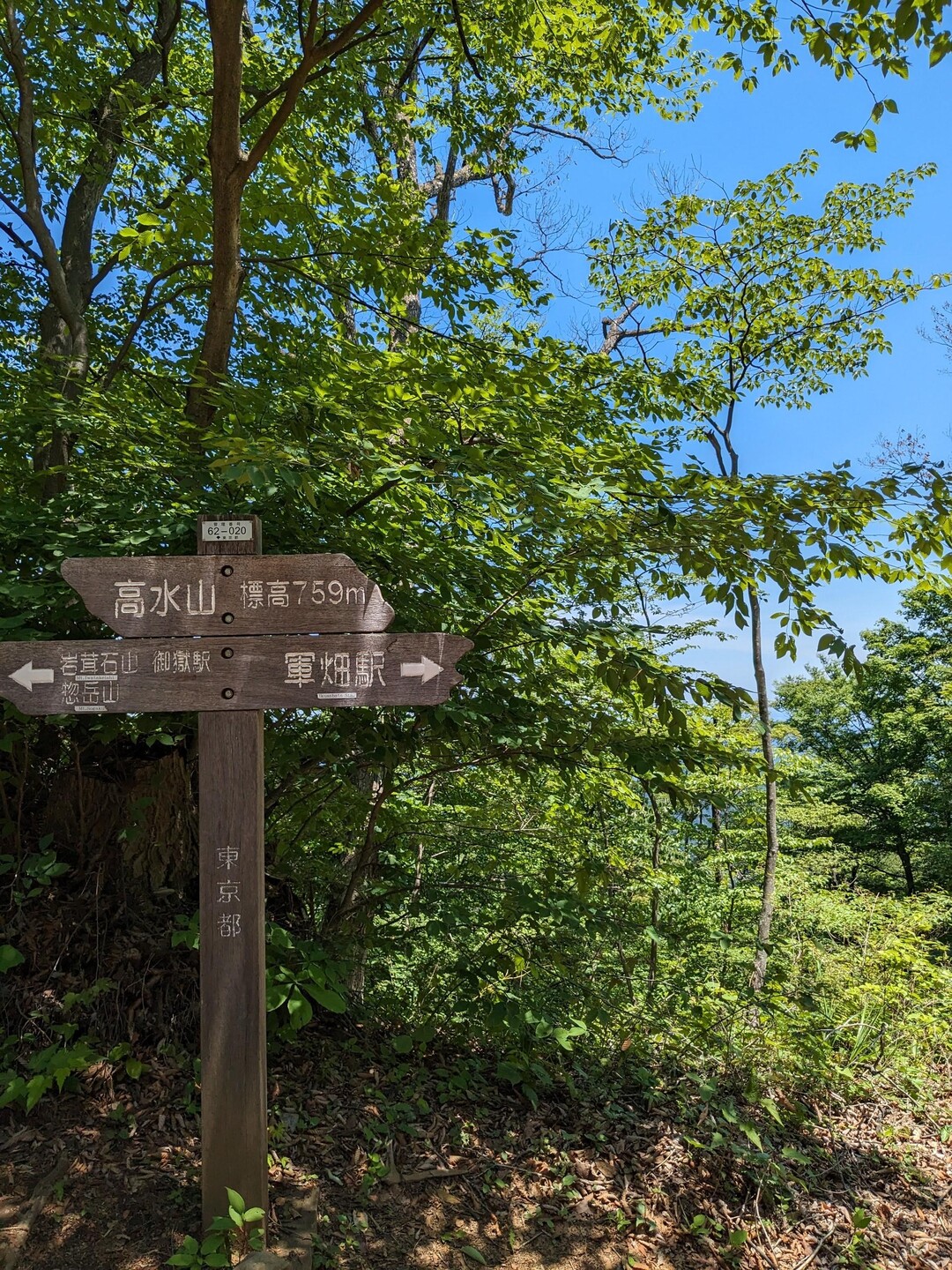 高水三山-2024-05-25 / dadadadさんのウォーキングの活動データ | YAMAP / ヤマップ