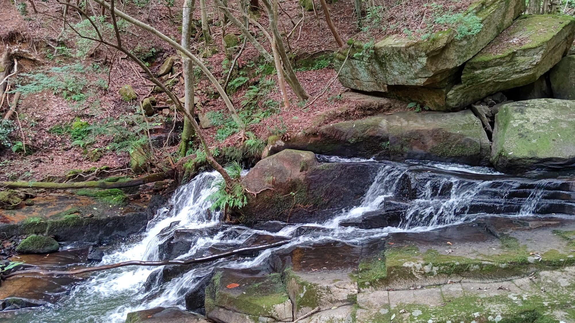 るり渓 / yoheiさんのモーメント | YAMAP / ヤマップ