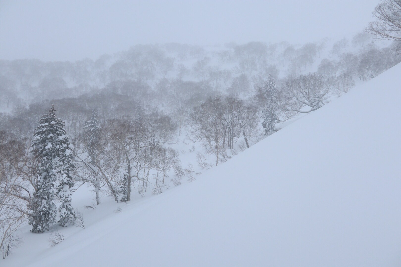 #32 早めに切上げ白井岳 / bono.さんの余市岳・定山渓天狗岳の活動日記 | YAMAP / ヤマップ