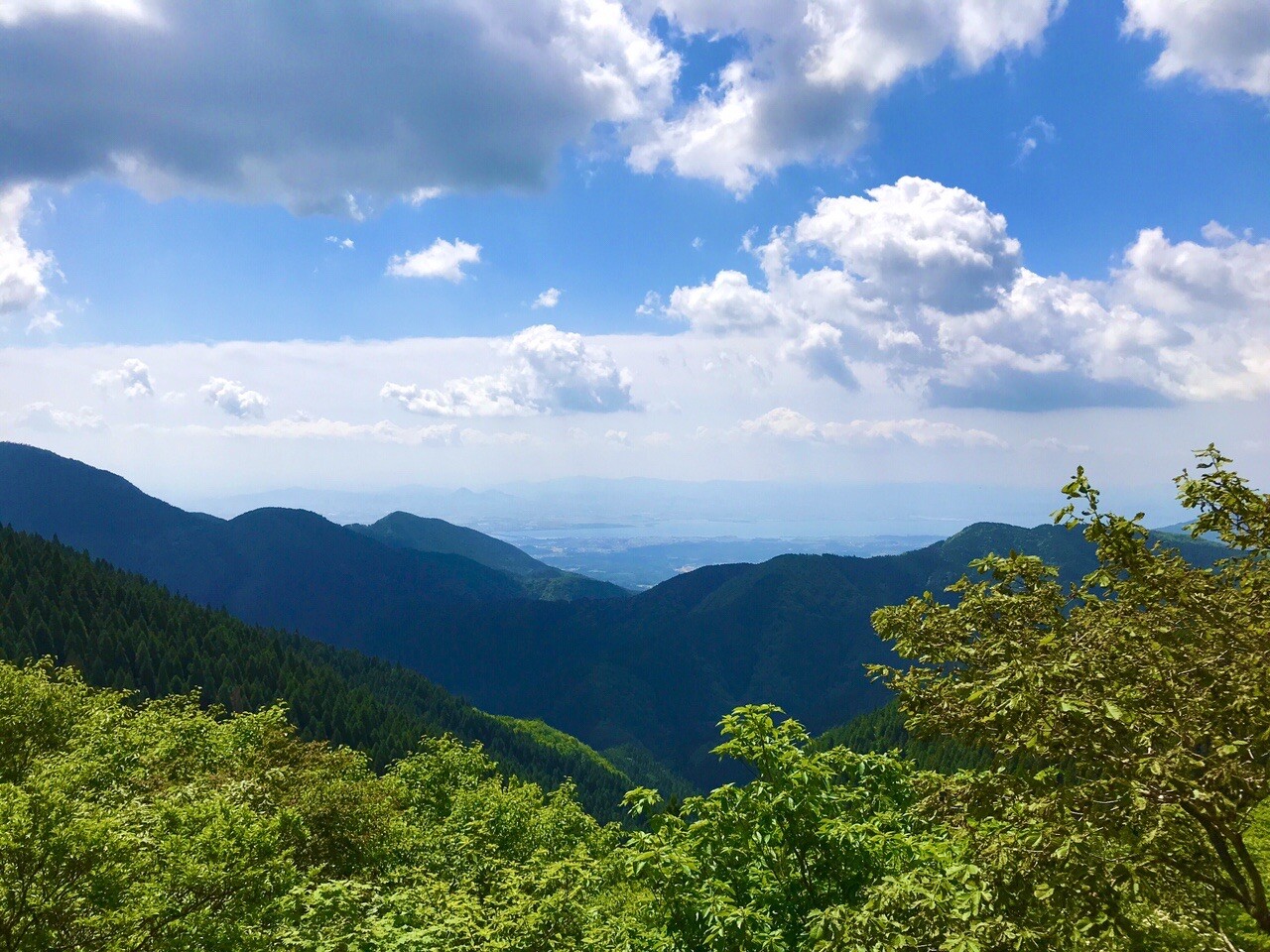 皆子山 / fjhiroさんの皆子山の活動データ | YAMAP / ヤマップ