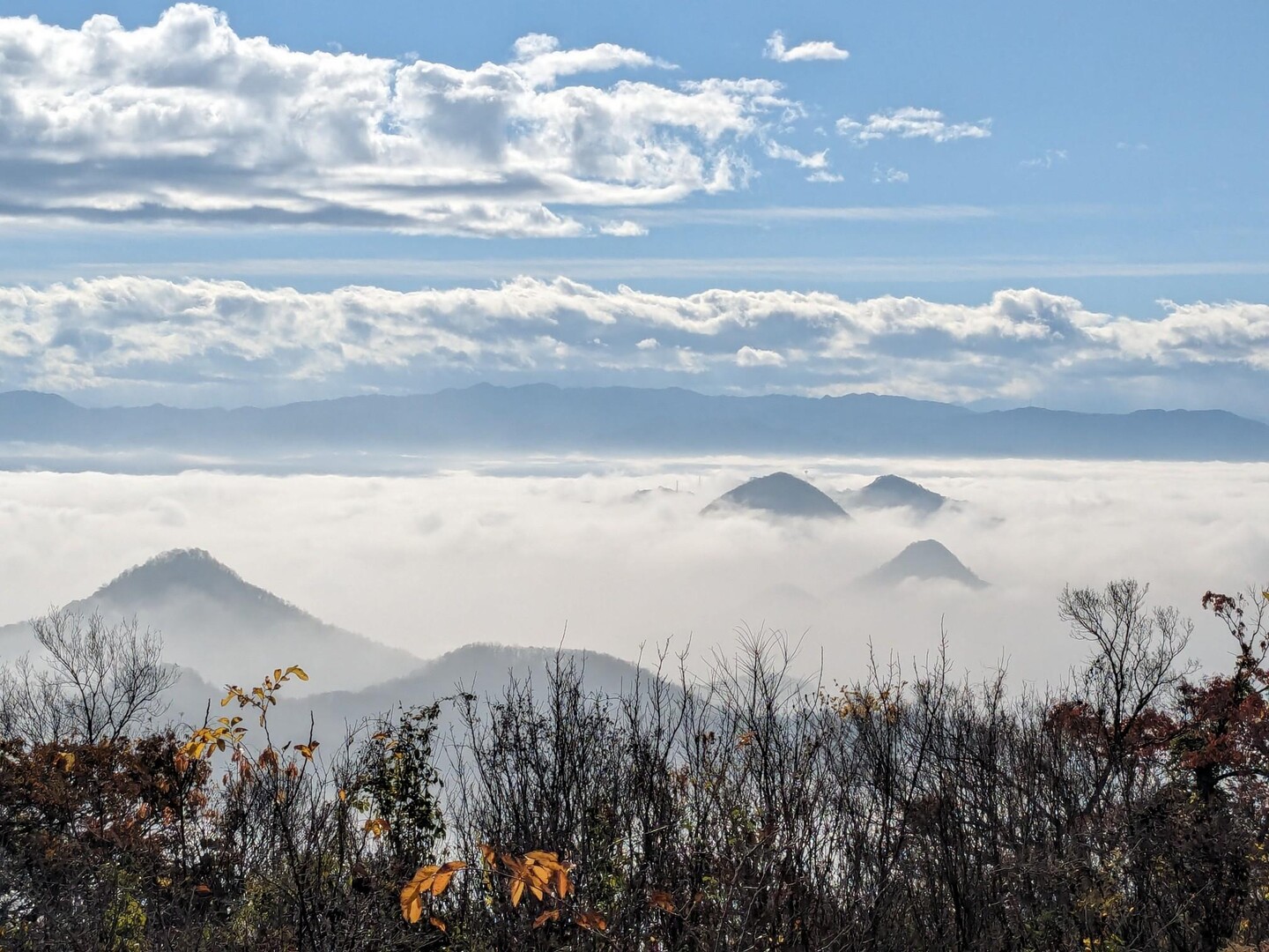 薬師山・神宮寺山・勝賀山・赤子谷・大平山・猪尻山 / h3さんの四国遍路その20の活動データ | YAMAP / ヤマップ