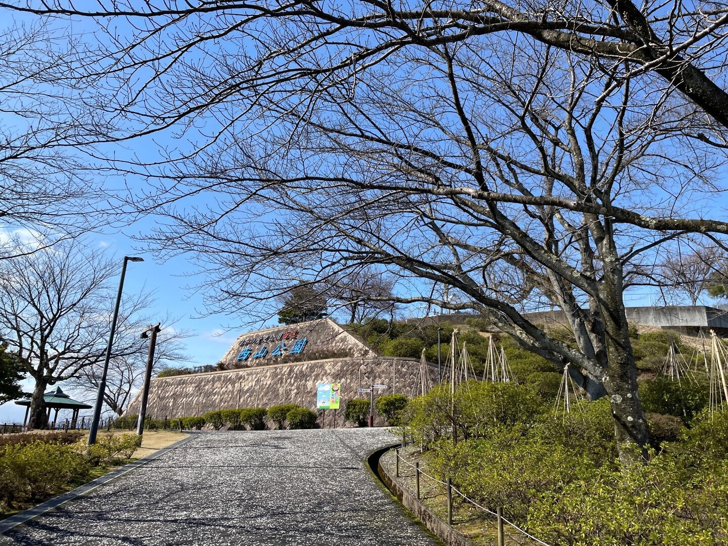 西山公園⛲️（ランニング） / JOG太郎さんの長泉寺山の活動データ | YAMAP / ヤマップ
