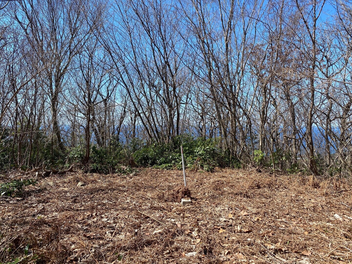 荒磯山 / ときやまさんの佐渡島の活動日記 | YAMAP / ヤマップ