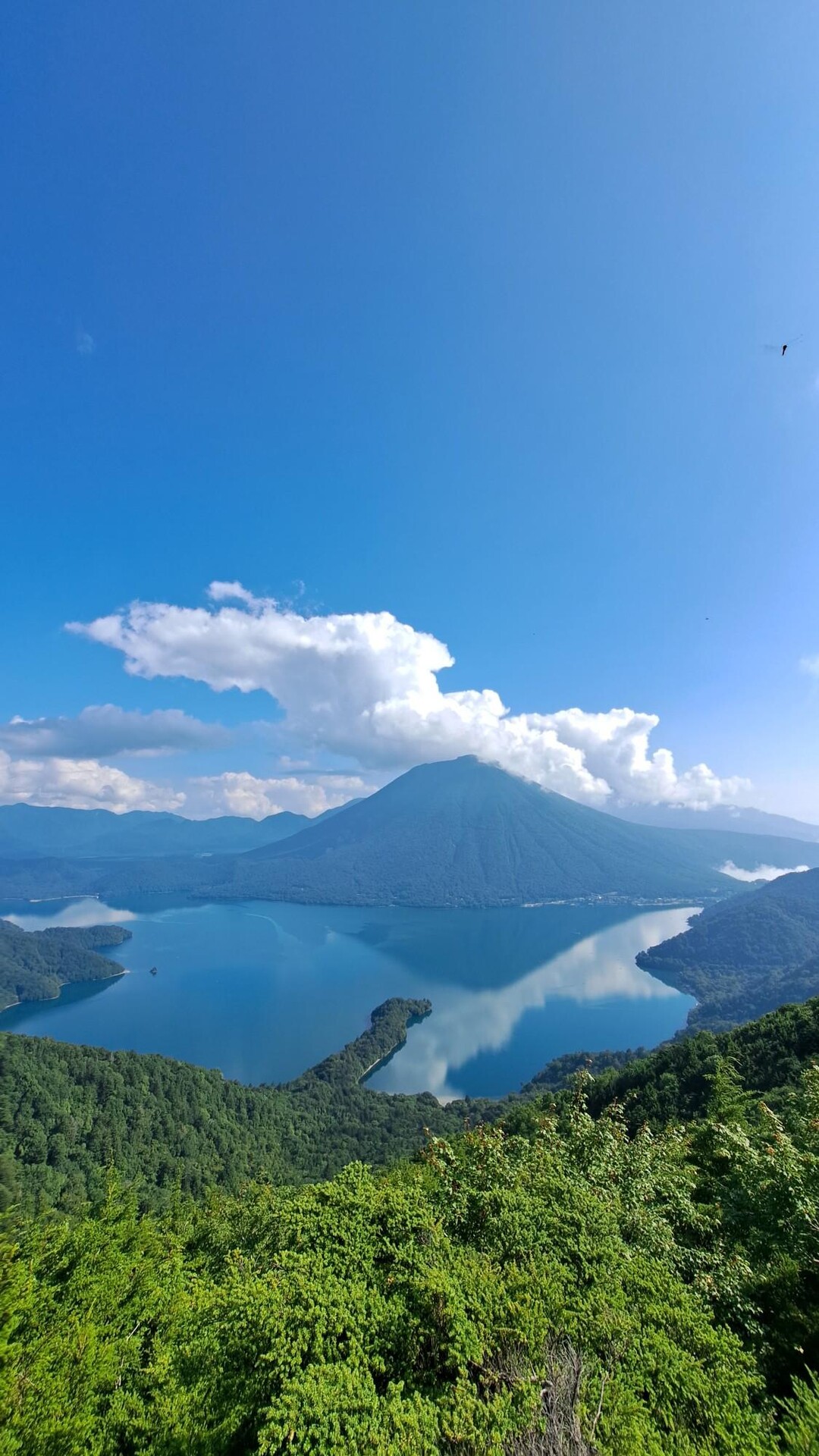 半月山・狸山 / str_0307さんの社山・半月山の活動データ | YAMAP / ヤマップ