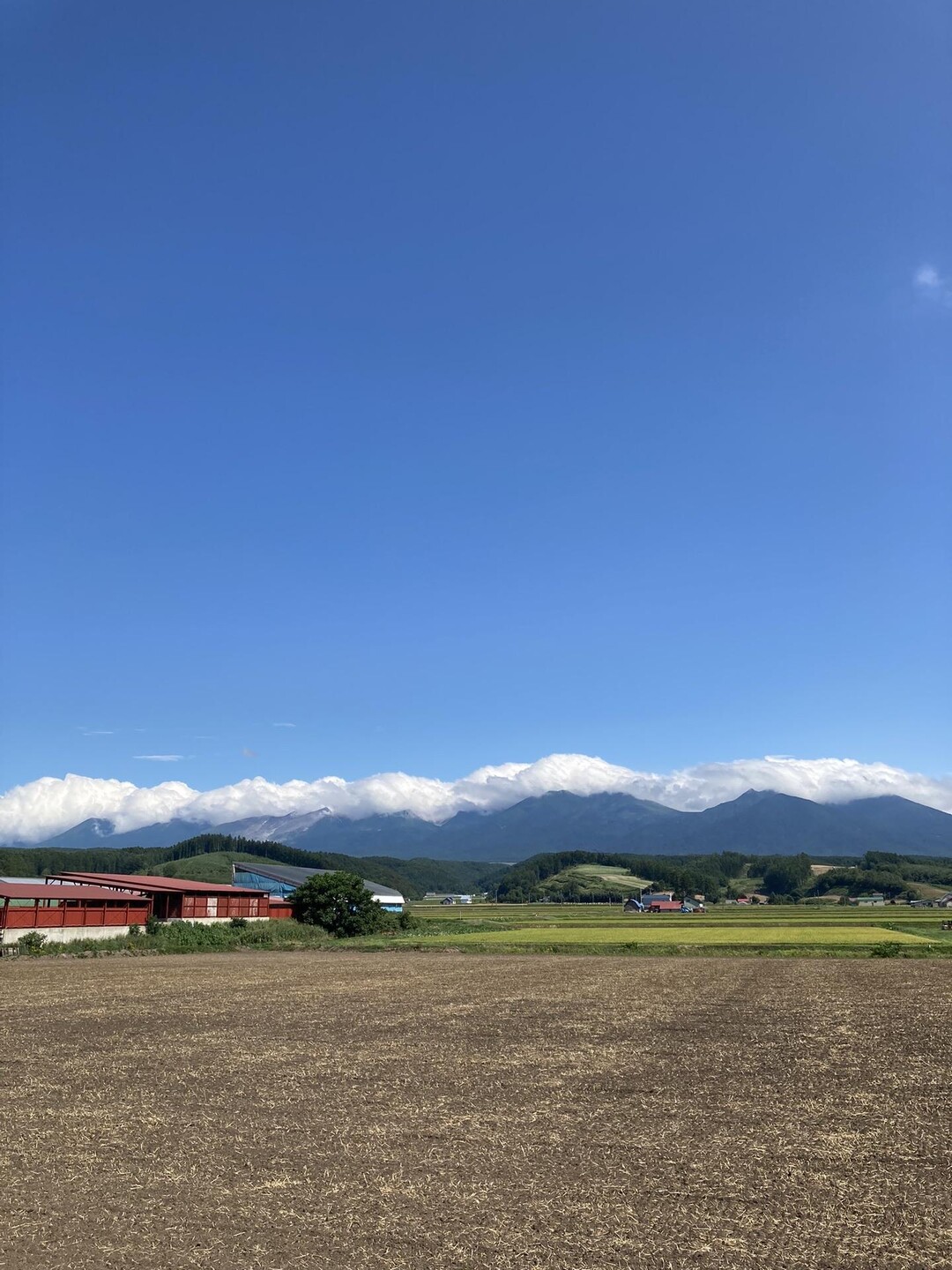 今日はお墓参りにて上富良野へ 十勝岳を羨... / TKさんのモーメント | YAMAP / ヤマップ