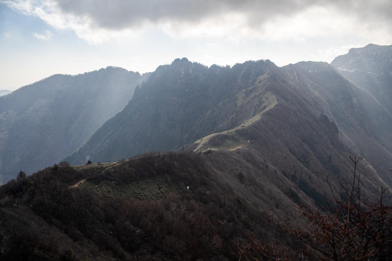 寒風山 / 四玄-SIGEN fpさんの笹ヶ峰・寒風山・平家平の活動日記 | YAMAP / ヤマップ