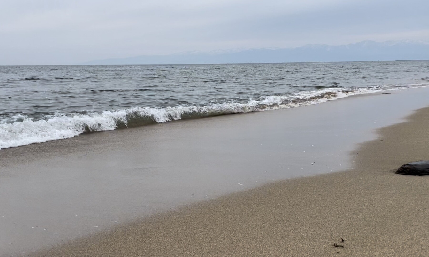 日曜日の散歩。 遠くに立山連峰 もうち... / NNNRさんのモーメント | YAMAP / ヤマップ