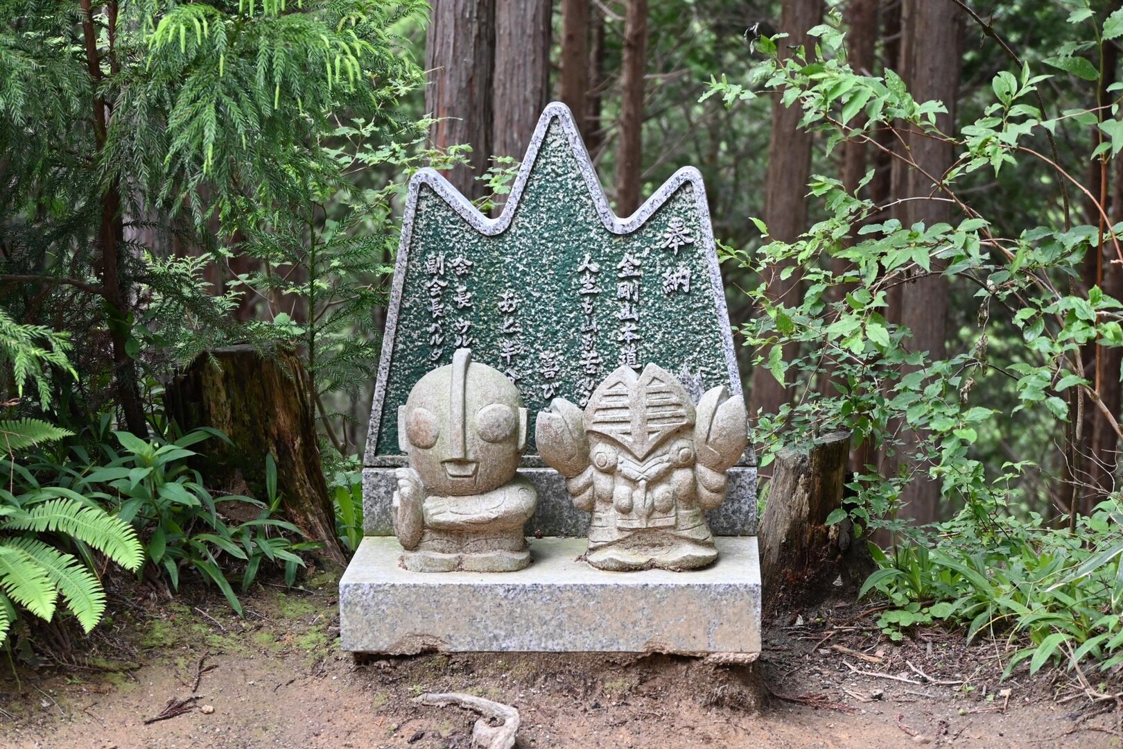 金剛山 / hikaさんの金剛山・二上山・大和葛城山の活動データ | YAMAP / ヤマップ