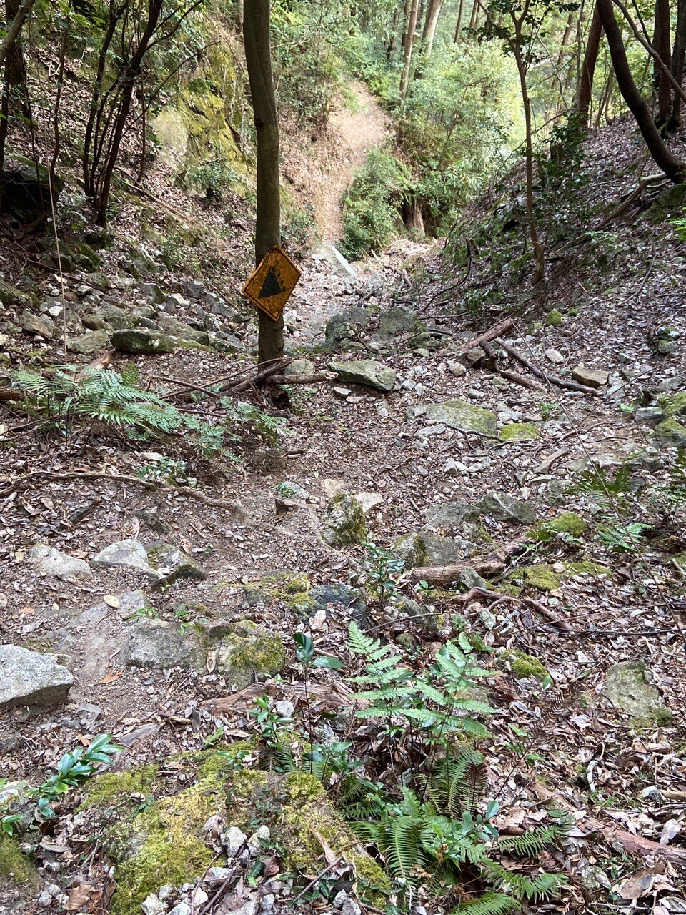 🍊ORANGE🍊さんの投稿したフィールドメモ | YAMAP / ヤマップ