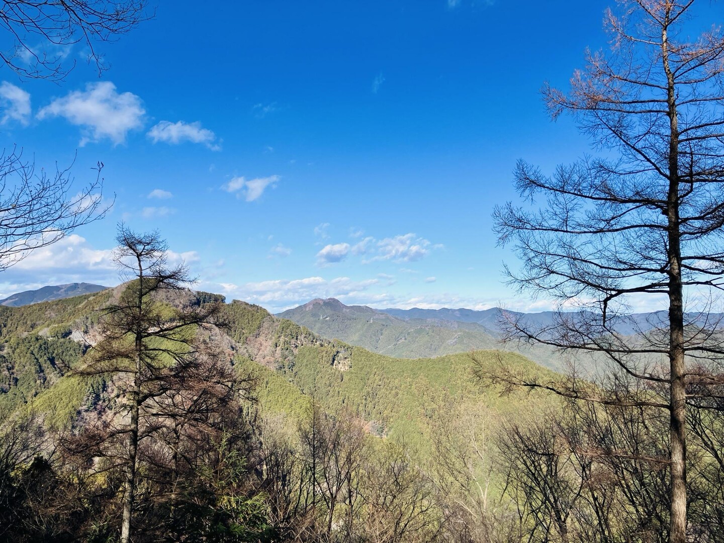 蕨山お散歩 / みやうらさんの武甲山・伊豆ヶ岳・小持山の活動データ | YAMAP / ヤマップ