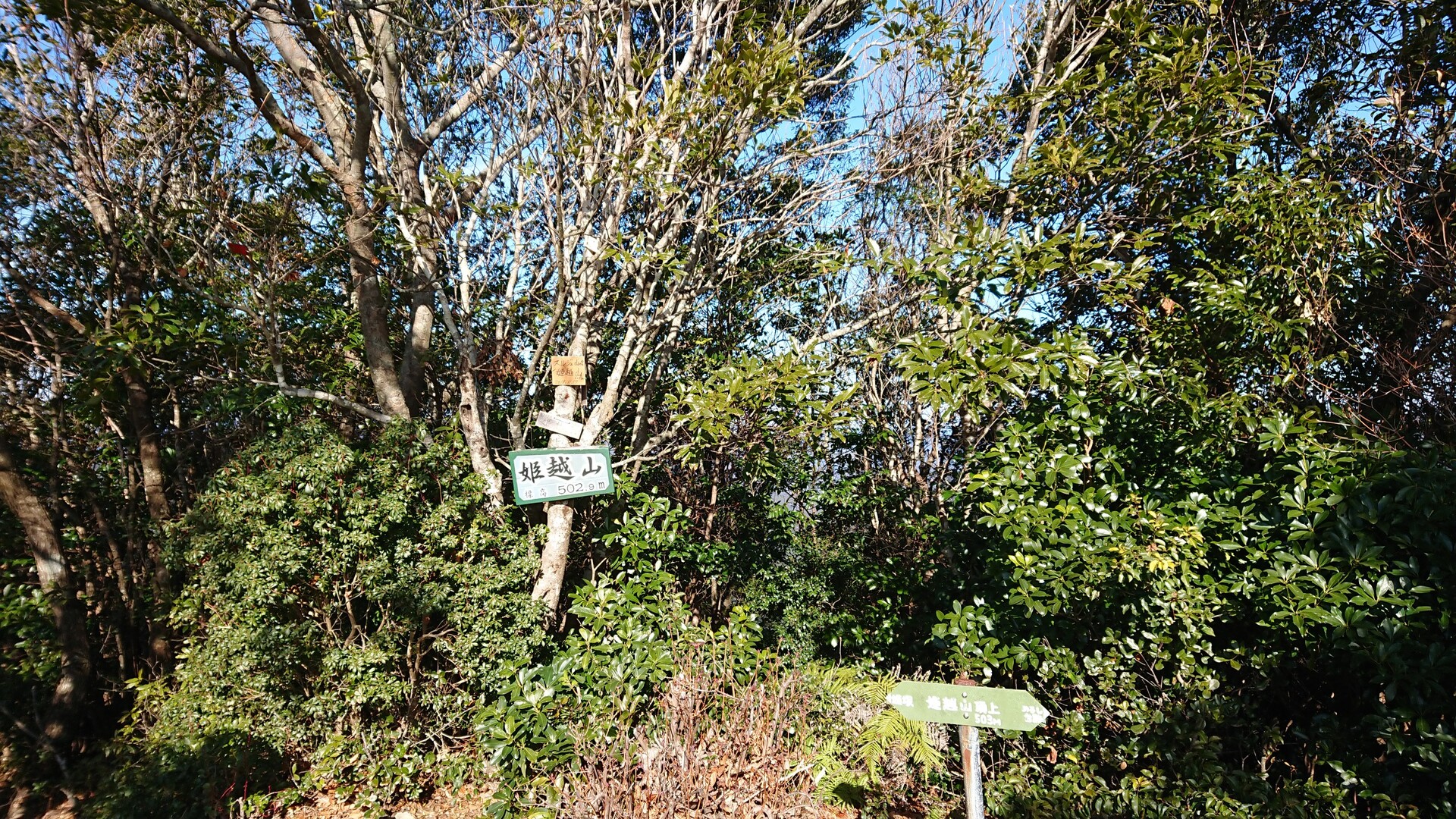 姫越山-2019-01-19 / hana356さんの姫越山の活動データ | YAMAP / ヤマップ