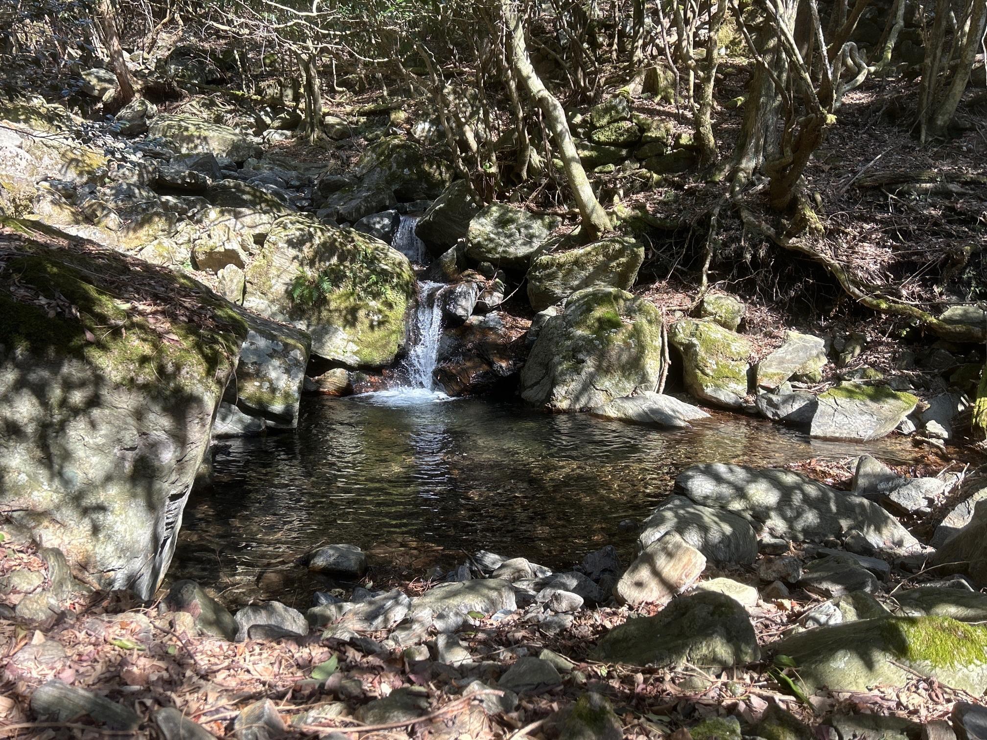 宇土浦越から秋月直帰！嘉穂アルプス縦走 / yes_csさんの古処山・屏山・馬見山・江川岳の活動データ | YAMAP / ヤマップ