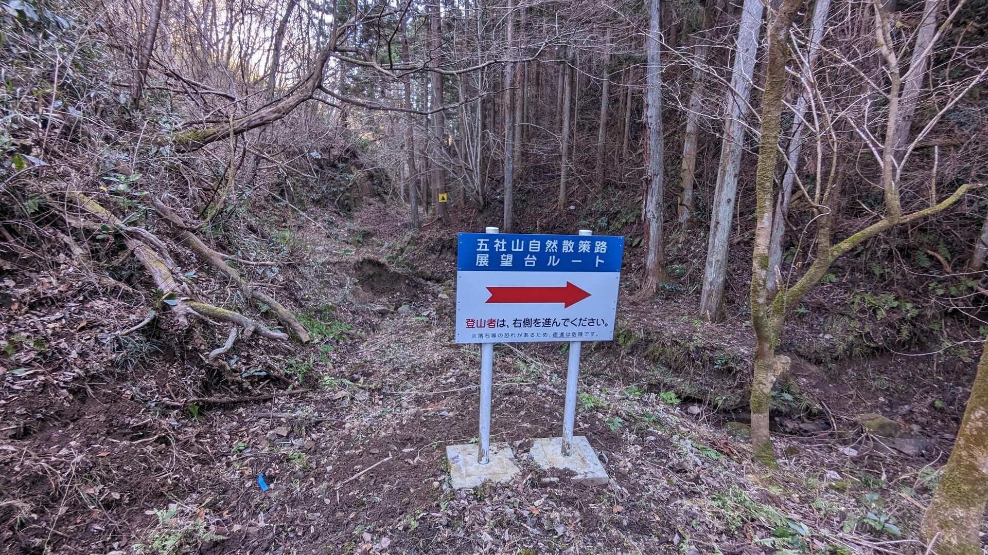 noraさんの投稿したフィールドメモ | YAMAP / ヤマップ