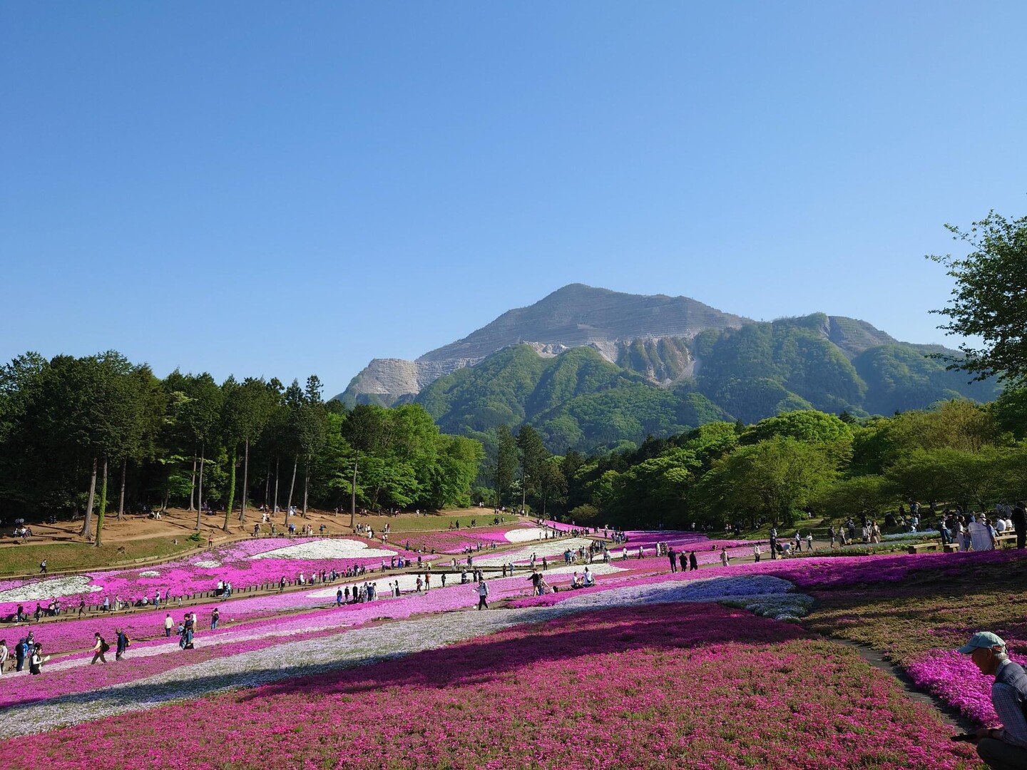 武甲山 / M.Jさんの武甲山・伊豆ヶ岳・小持山の活動データ | YAMAP / ヤマップ
