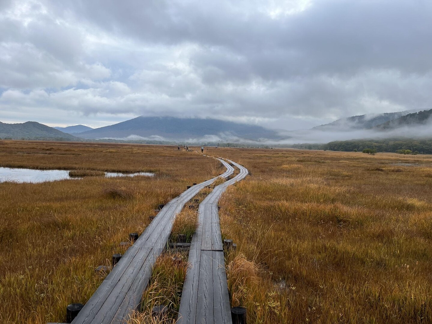 やっぱり秋の尾瀬いいね〽😊至仏山・小至仏山 / jittaさんの尾瀬・燧ヶ岳の活動データ | YAMAP / ヤマップ