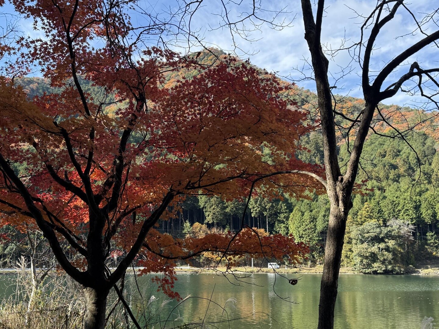周回コース 七種槍・七種山・十字峰・七種薬師 / manabossさんの七種山の活動データ | YAMAP / ヤマップ