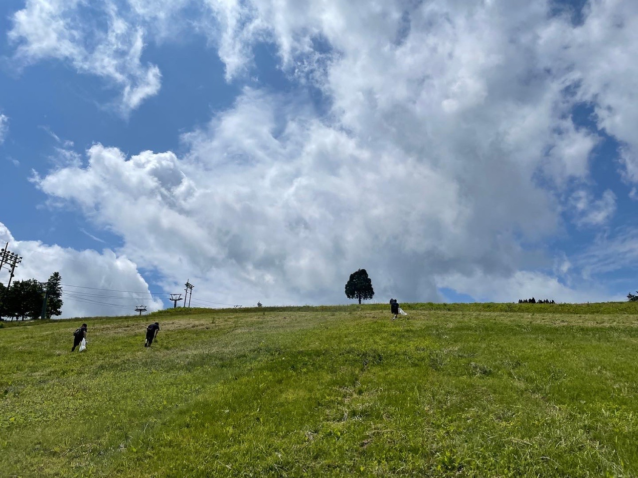 Mountain clean up 20... / モチヅキさんのモーメント | YAMAP / ヤマップ