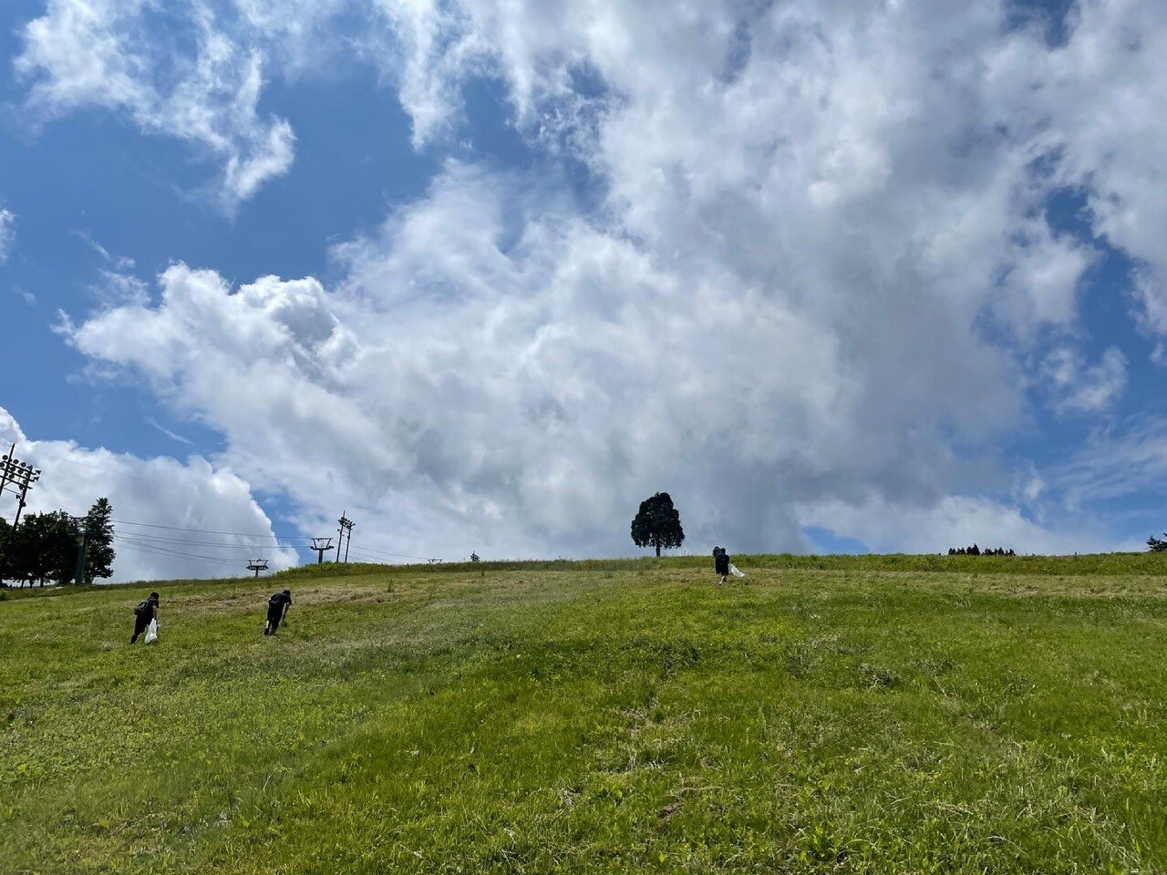 Mountain clean up 20... / モチヅキさんのモーメント | YAMAP / ヤマップ