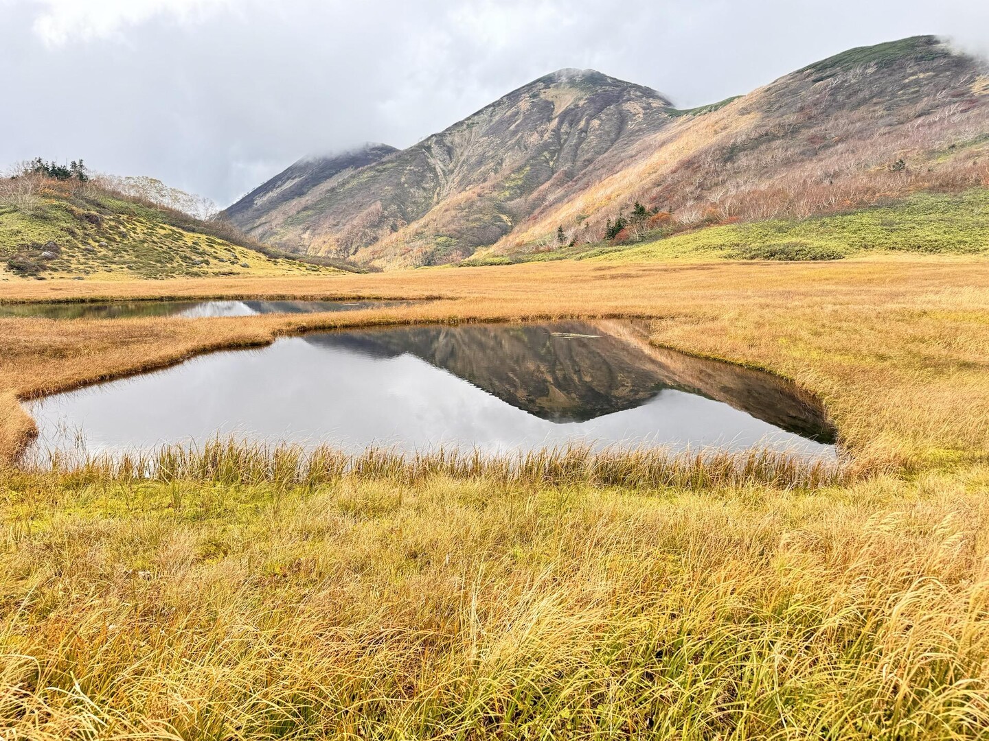 火打山 / Y-MANさんの妙高山・火打山の活動データ | YAMAP / ヤマップ