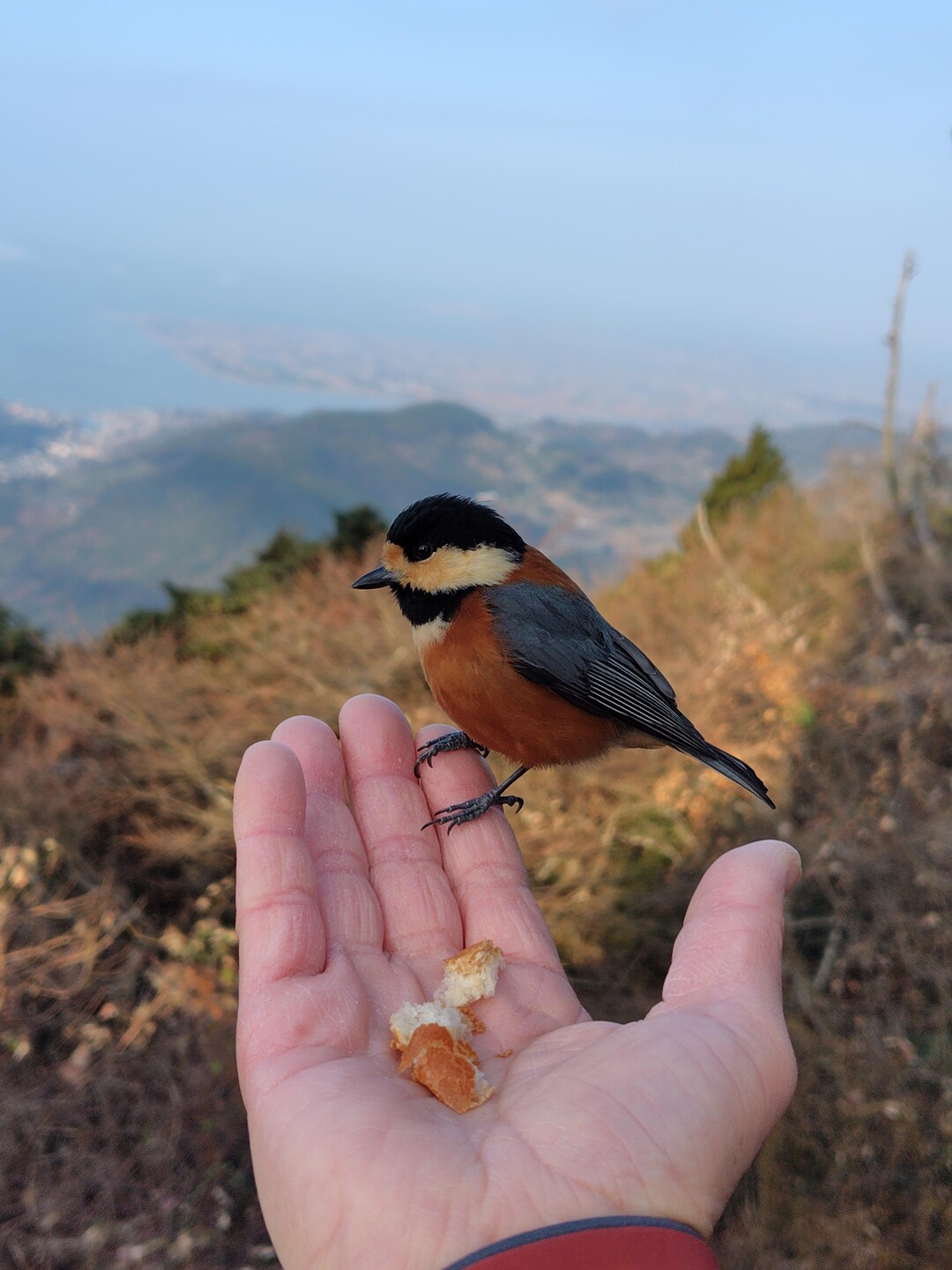 金峰山 / enoさんの金峰山・二ノ岳・三ノ岳の活動日記 | YAMAP / ヤマップ