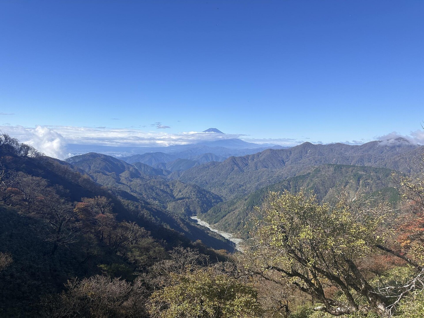 丹沢LOVE😘 / shin🤗さんの塔ノ岳・丹沢山・蛭ヶ岳の活動データ | YAMAP / ヤマップ
