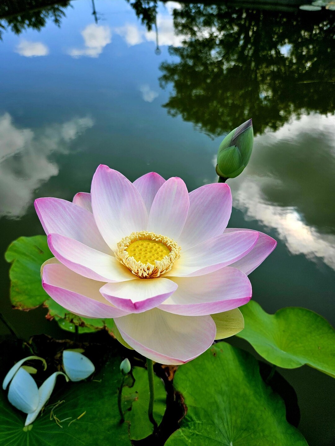 今朝は日高港の『Sioトープ』へ⛲ 舞... / はるおさんのモーメント | YAMAP / ヤマップ