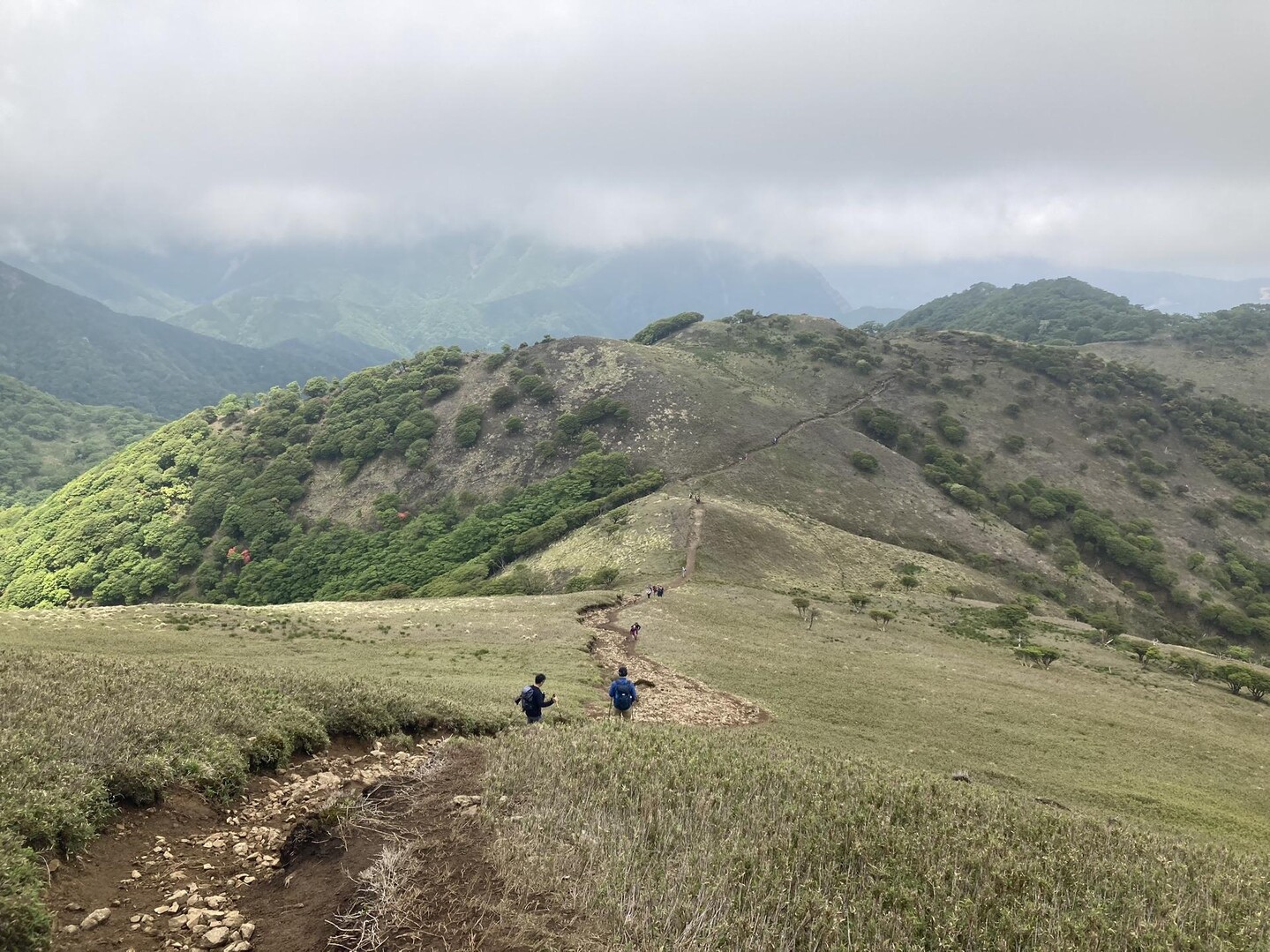 竜ヶ岳 / john woodsさんの竜ヶ岳の活動データ | YAMAP / ヤマップ