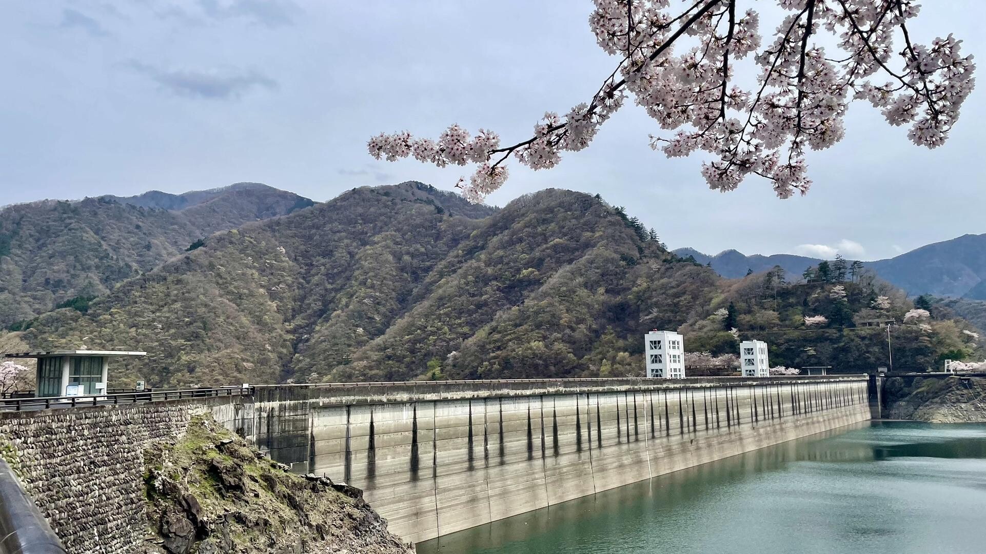 御前山・ソーヤノ丸デッコ🗻 ෆ ̥_(ᐖ ⱴ) / mi-oさんの大岳山・御岳山・御前山の活動データ | YAMAP / ヤマップ