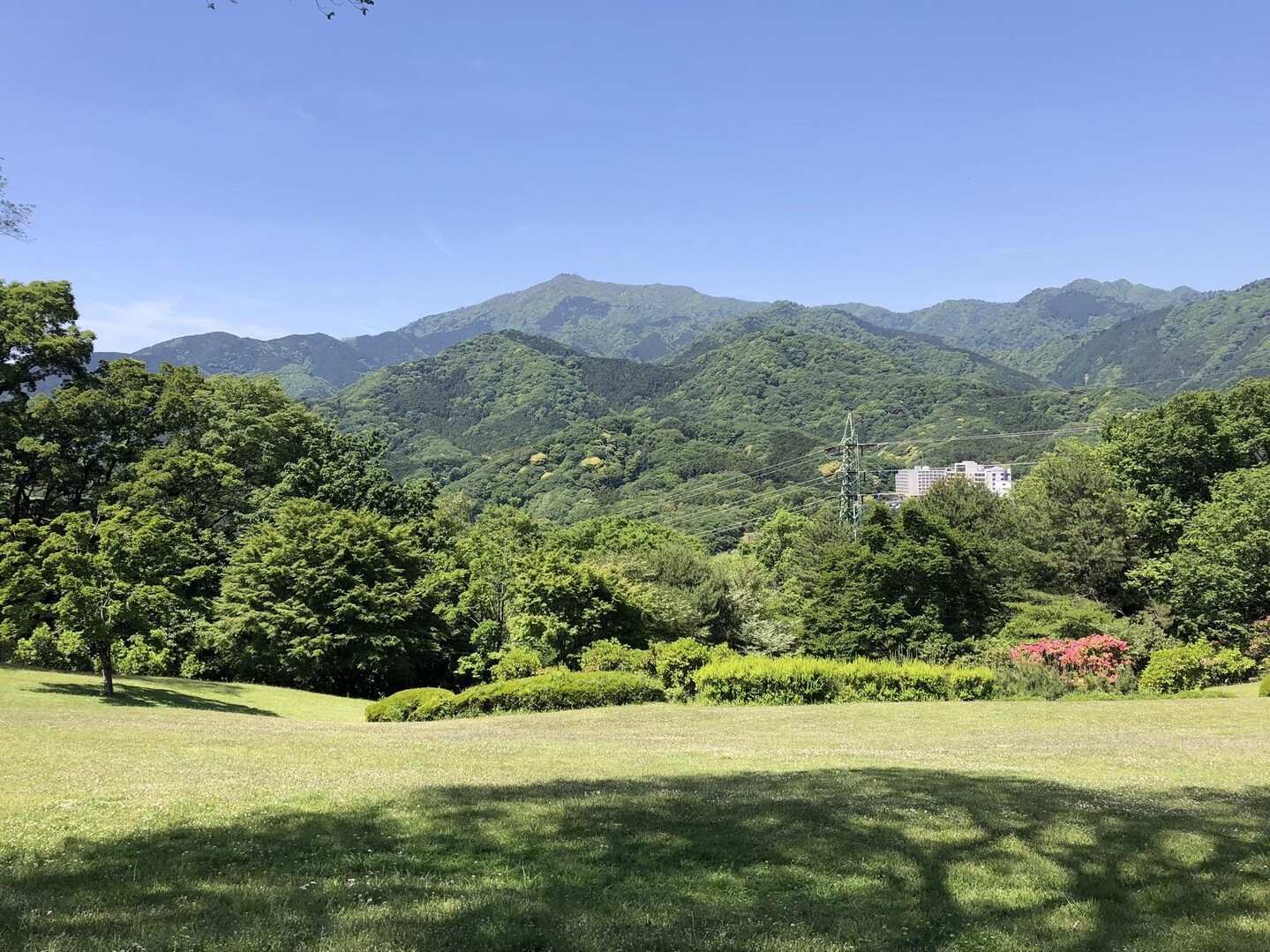 あんぱん買って、七沢森林公園へ / ms1967さんの厚木市の活動データ | YAMAP / ヤマップ