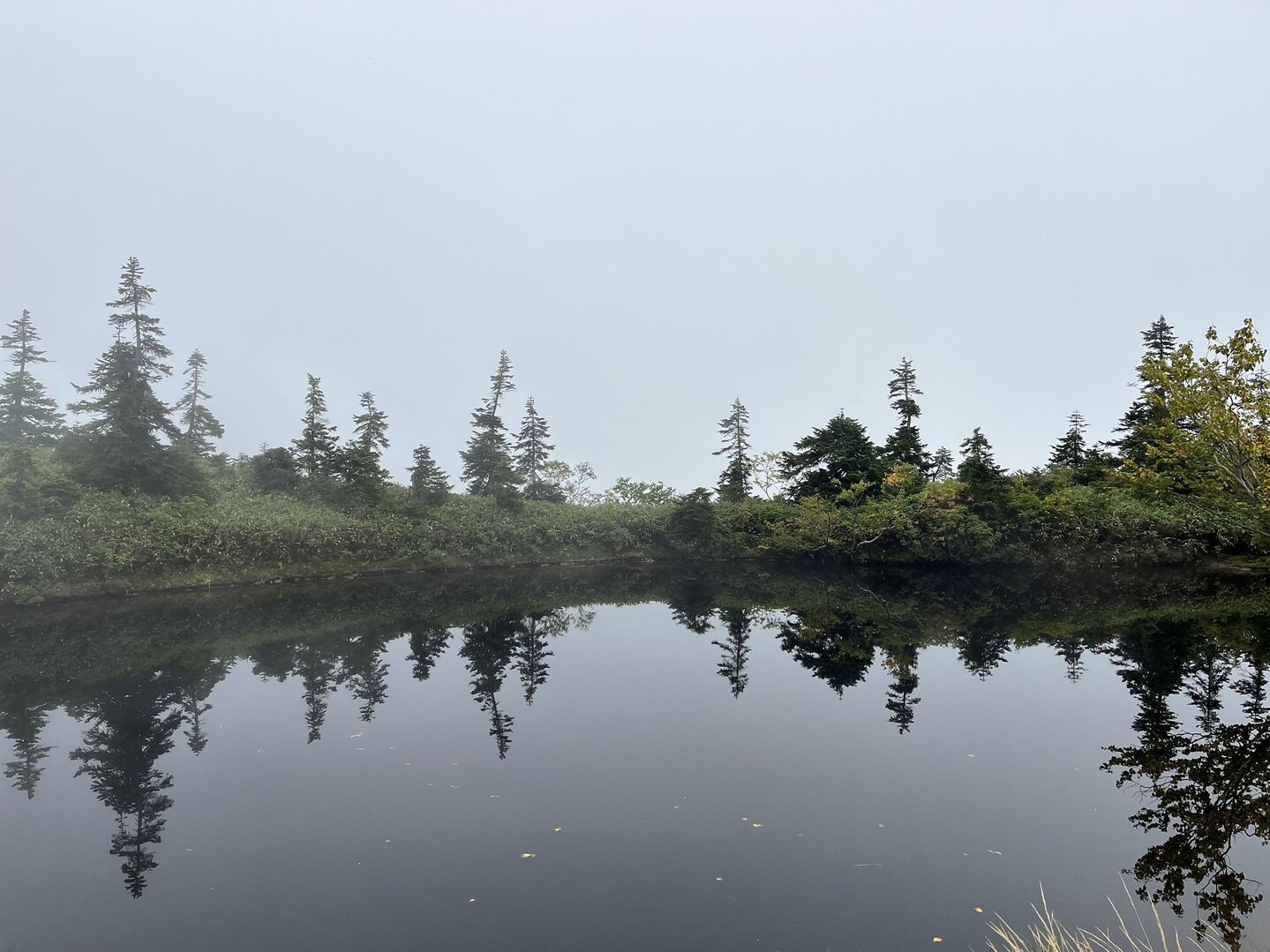 双六岳 / TATさんの槍ヶ岳・穂高岳・上高地の活動データ | YAMAP / ヤマップ