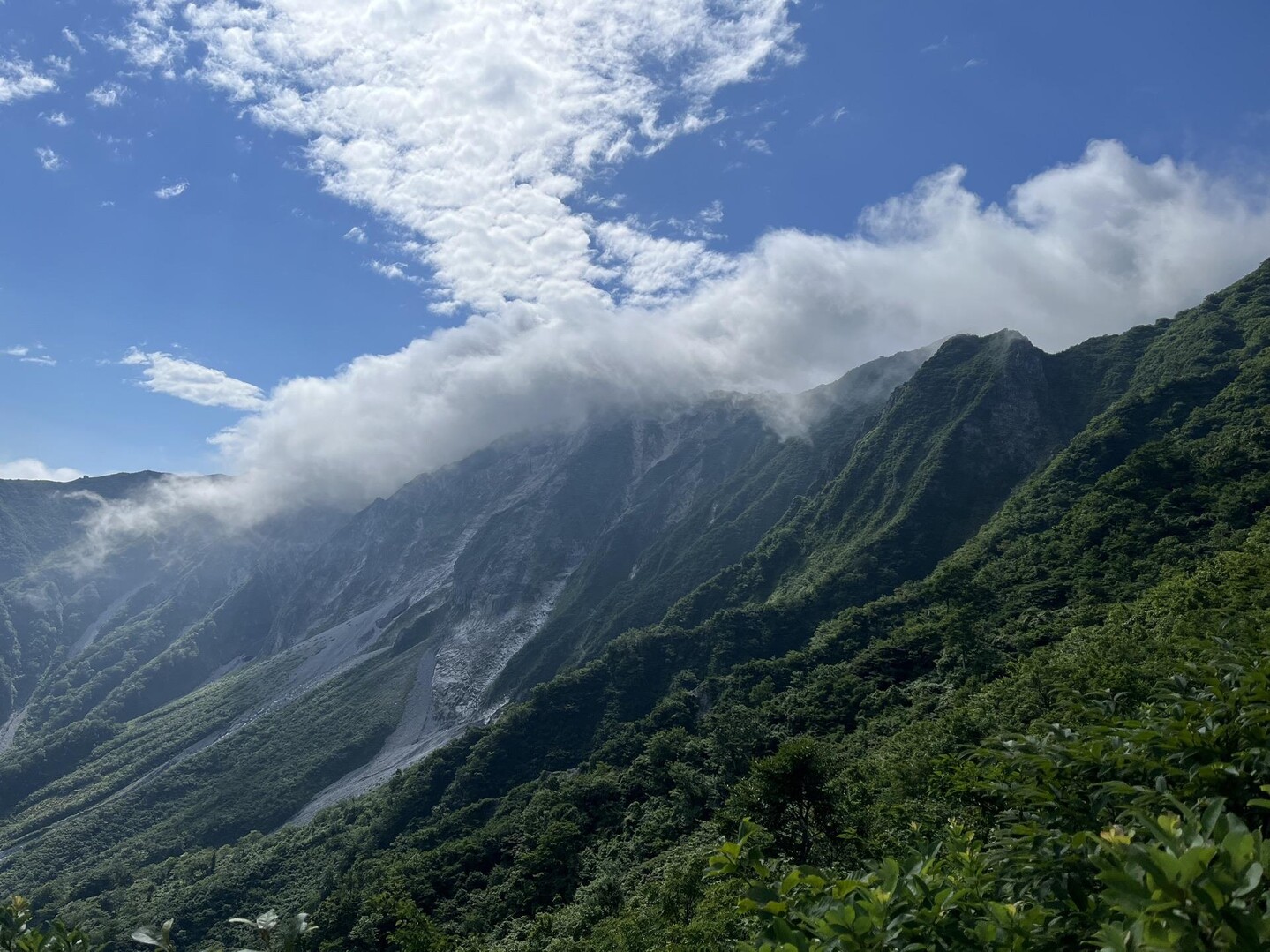 爽快のんびり大山 / marumoさんの大山・甲ヶ山・野田ヶ山の活動日記 | YAMAP / ヤマップ