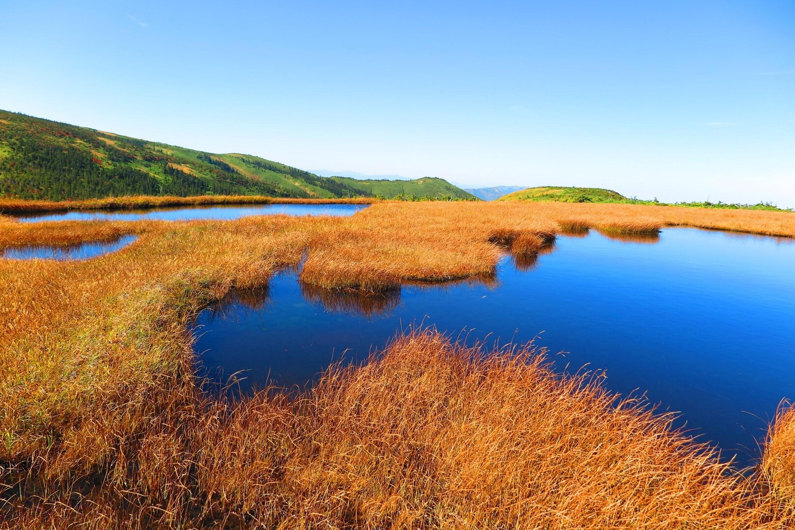 平ヶ岳 / やすさんの平ヶ岳・台倉山・池ノ岳の活動データ | YAMAP / ヤマップ