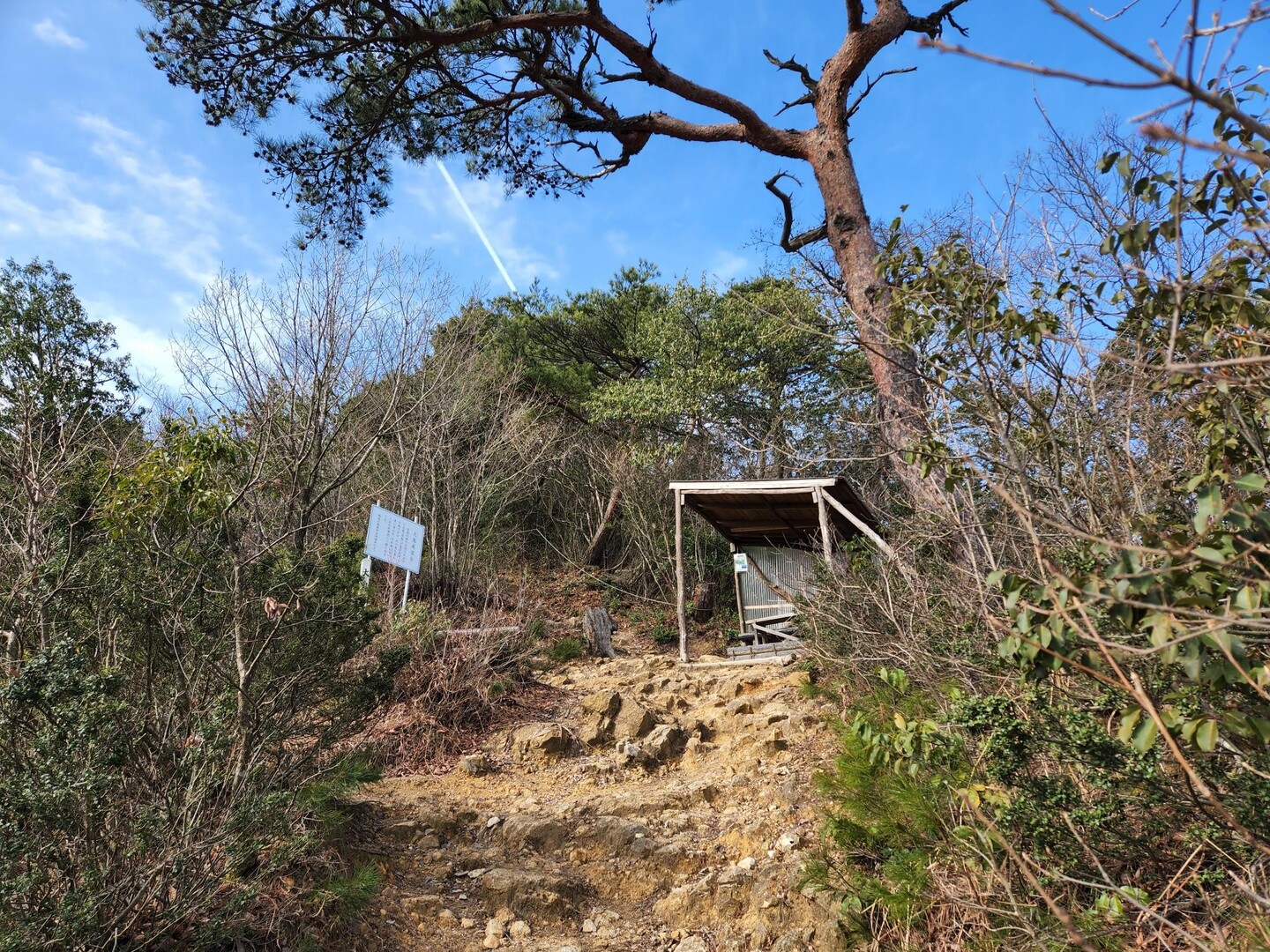 変態ソロ👹鬼ヶ岳 / obamaさんの鬼ヶ岳の活動データ | YAMAP / ヤマップ