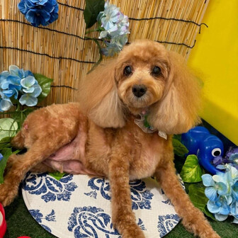 rainmanのページ | YAMAP / ヤマップ