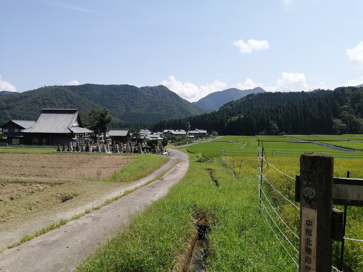 恐怖の日野山（萱谷−牧谷越） / moko5さんの日野山の活動データ | YAMAP / ヤマップ