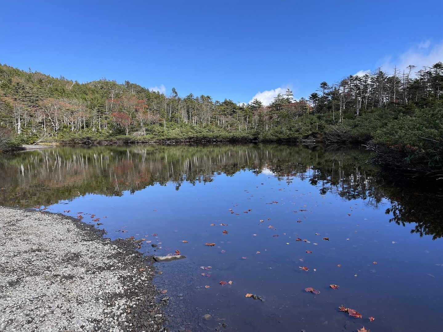 北横岳と縞枯山 / Natsuさんの蓼科山・横岳・縞枯山の活動データ | YAMAP / ヤマップ