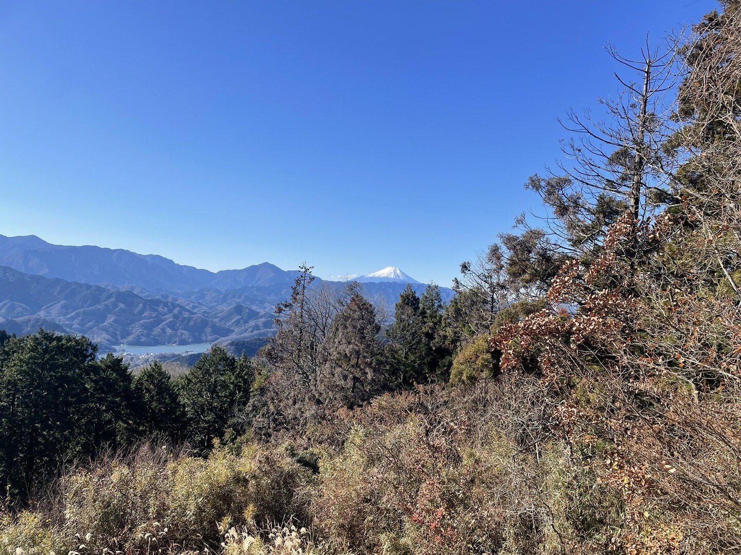 猪ノ鼻山・日影乗鞍・城山（小仏城山）・景信山・大久保山・478m圏峰 / akaneさんの高尾山・陣馬山・景信山の活動データ | YAMAP / ヤマップ