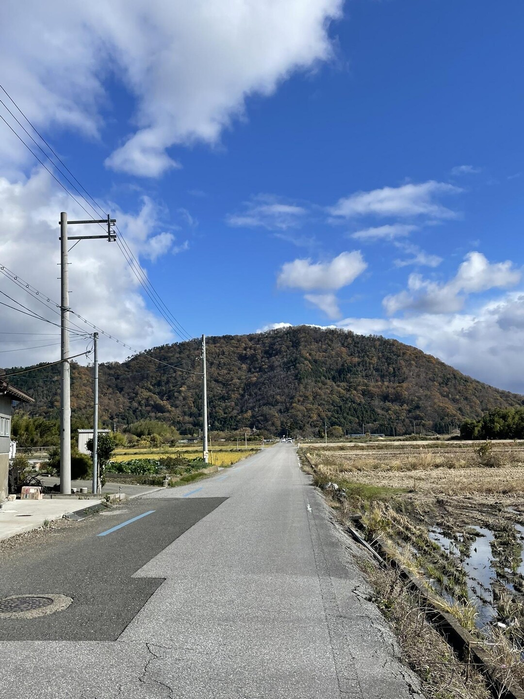 オオワシ🦅(山本山のおばあちゃん)見て... / TAKA さんのモーメント | YAMAP / ヤマップ