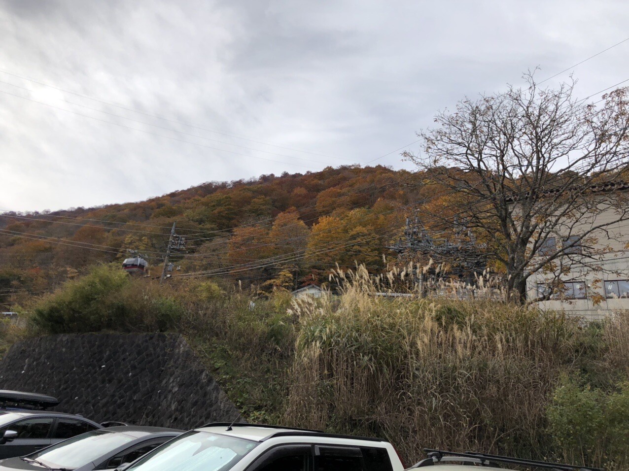 今谷川岳からロープウェイ使って下山しまし... / Neat_neoさんのモーメント | YAMAP / ヤマップ