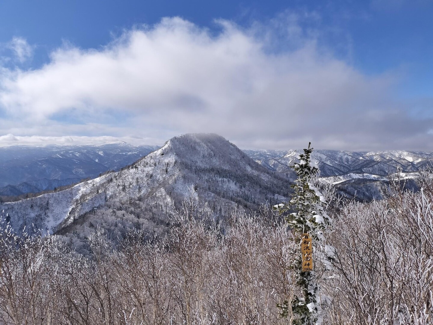 百松沢山・南峰 / kami415さんの百松沢山の活動データ | YAMAP / ヤマップ