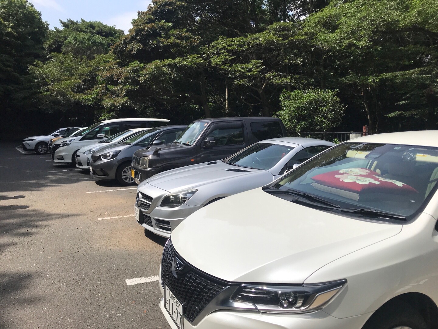 Meeyaさんの投稿したフィールドメモ | YAMAP / ヤマップ