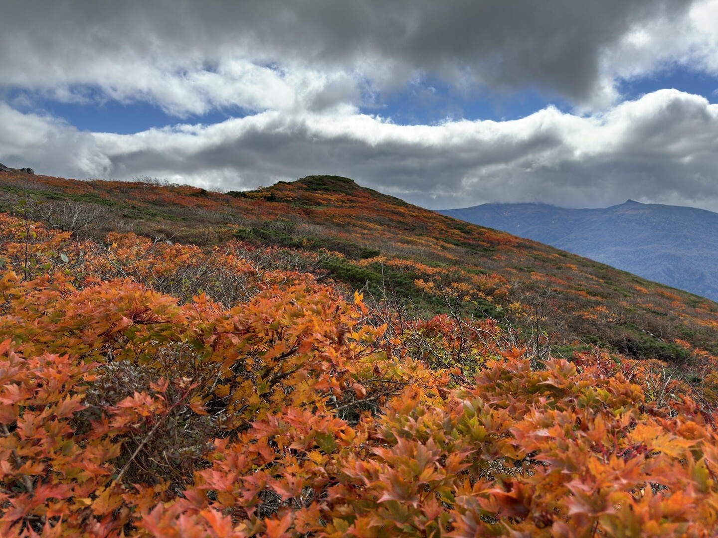三ッ石山 / junjunさんの三ッ石山・大深岳・諸桧岳の活動日記 | YAMAP / ヤマップ